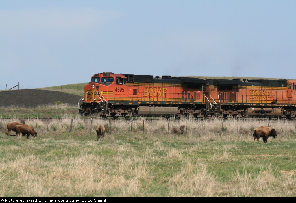 BNSF 4695